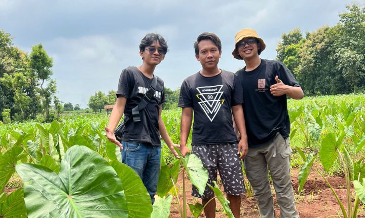 Talas Pratama Desa Wotan Panceng Digadang Penuhi Pasar Luar Negeri ...